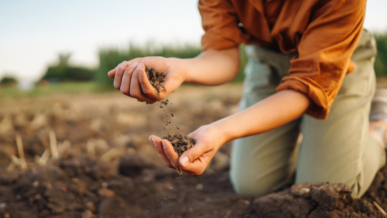 The Top 7 Benefits of Using Organic Fertilizers for Your Garden ...